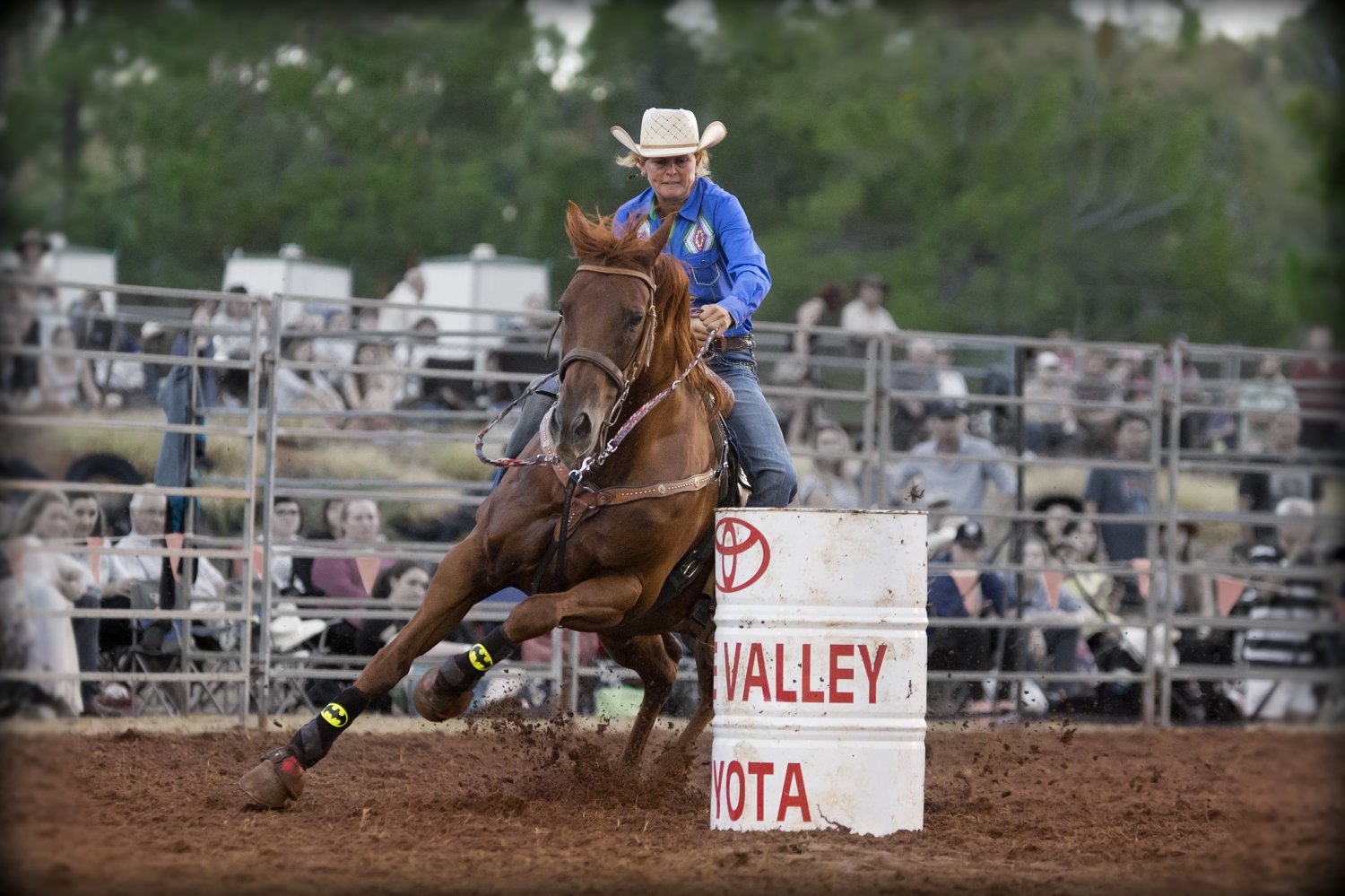 Galleries - Horses - Barrel Racing - Shadows Farm Photography